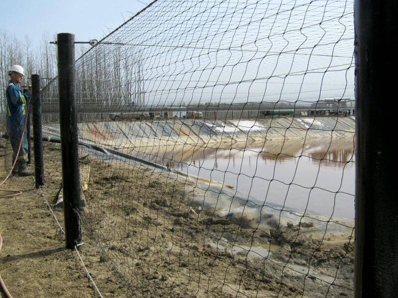 Protecting Wildlife in Alberta’s Energy Sector - Smart Net Systems